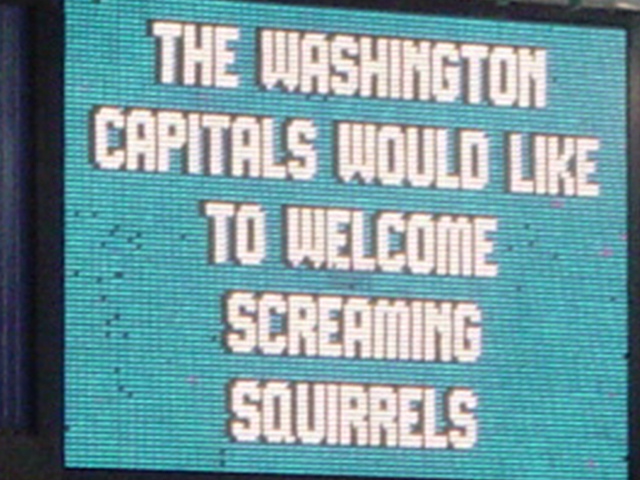 Caps vs. Red Wings – Team Outing | Screaming Squirrels Hockey